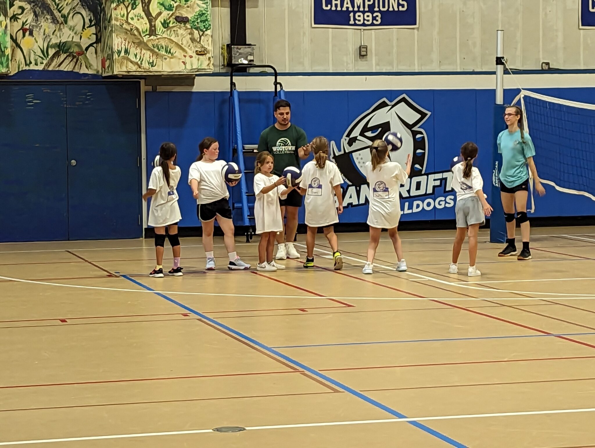 Learn To Play – Dragons Volleyball Club